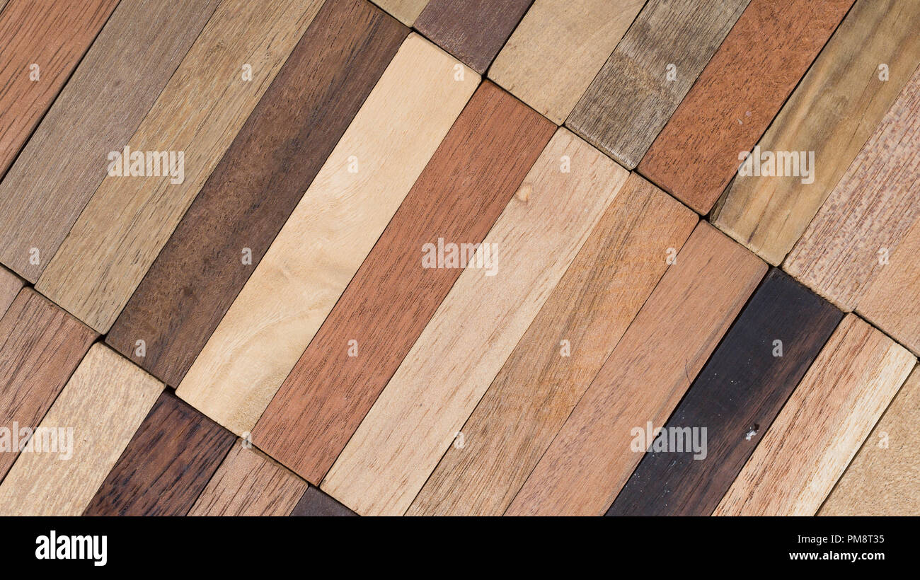 wood specimen from different tropical hardwood that grow in Indonesia ...