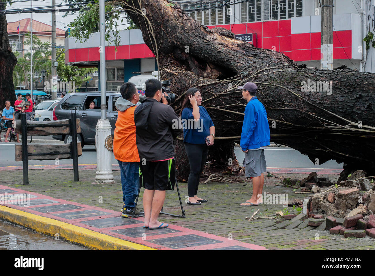 Different medias gathered around the fallen acacia tree to interview ...