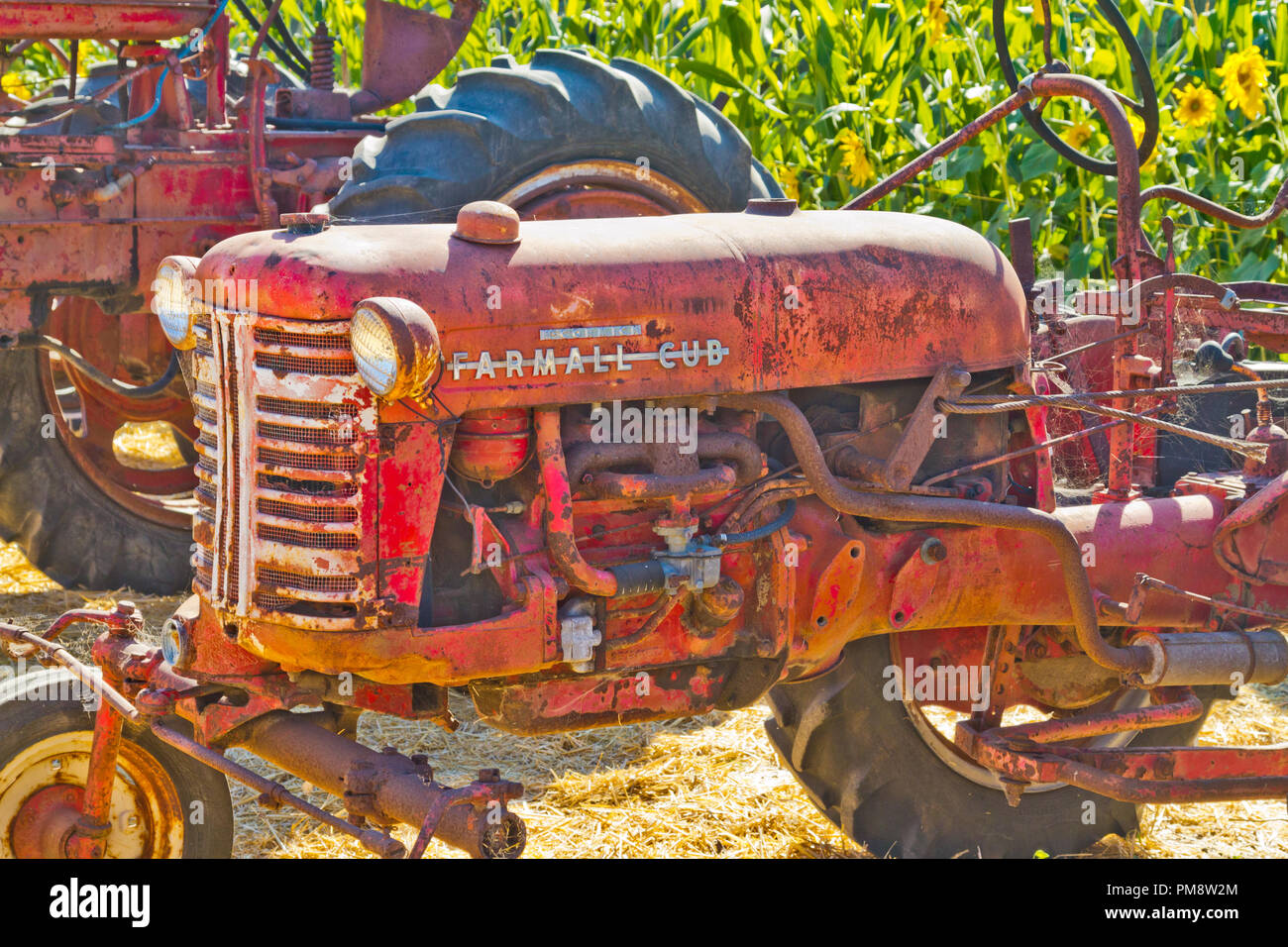 Antique McCormick tractor Stock Photo - Alamy