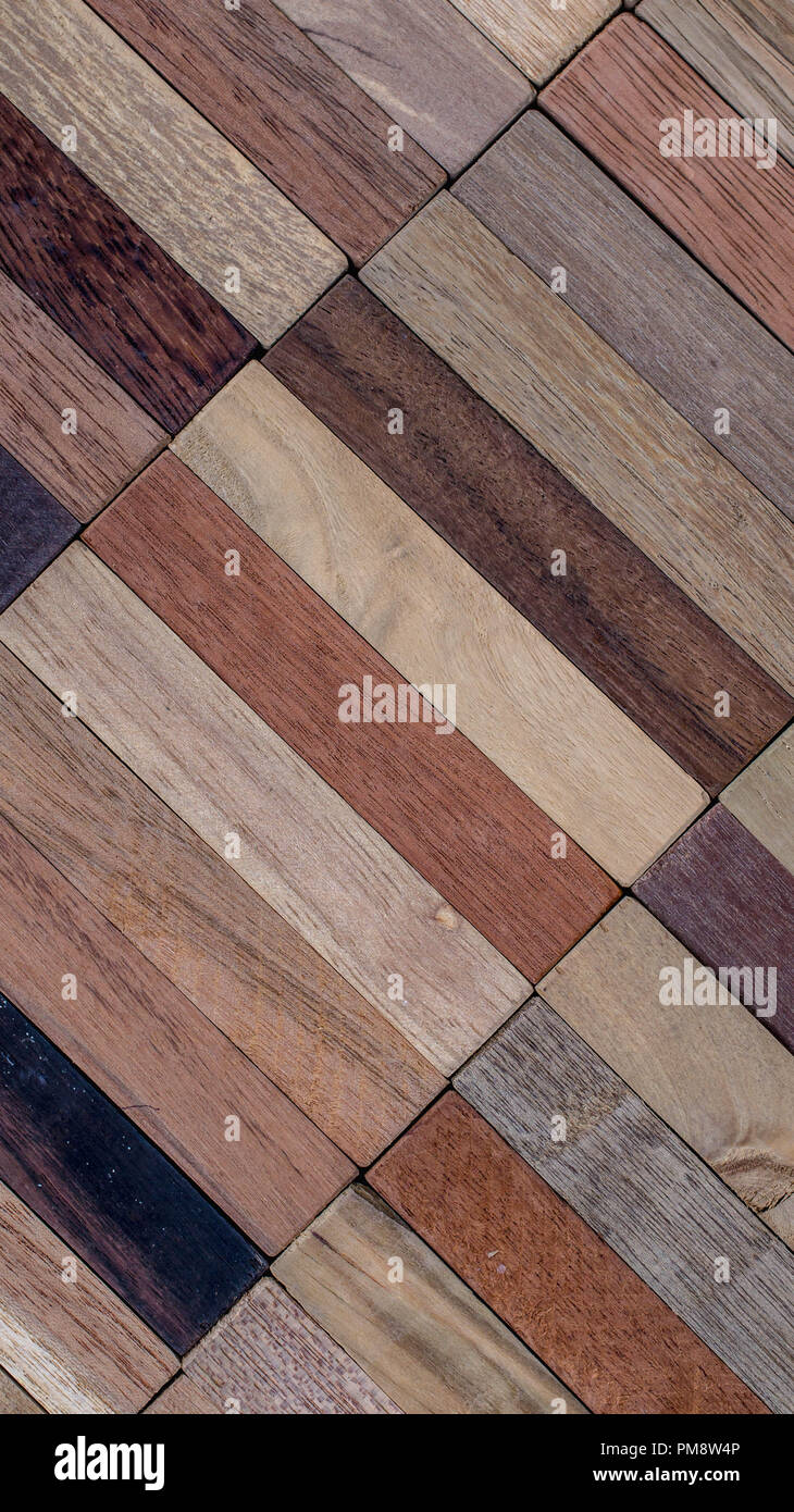 wood specimen from different tropical hardwood that grow in Indonesia ...