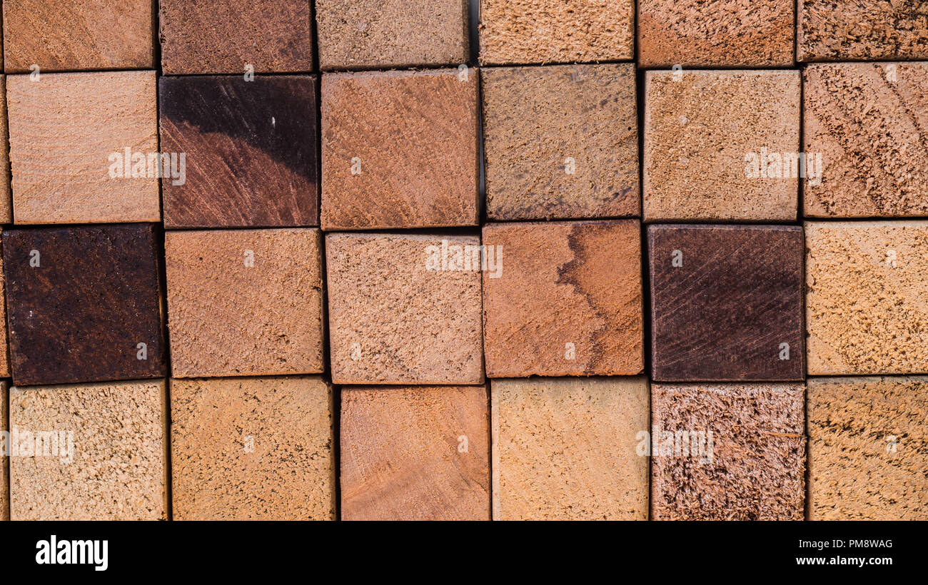 wood specimen from different tropical hardwood that grow in Indonesia ...