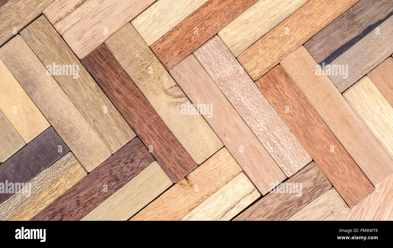 wood specimen from different tropical hardwood that grow in Indonesia ...