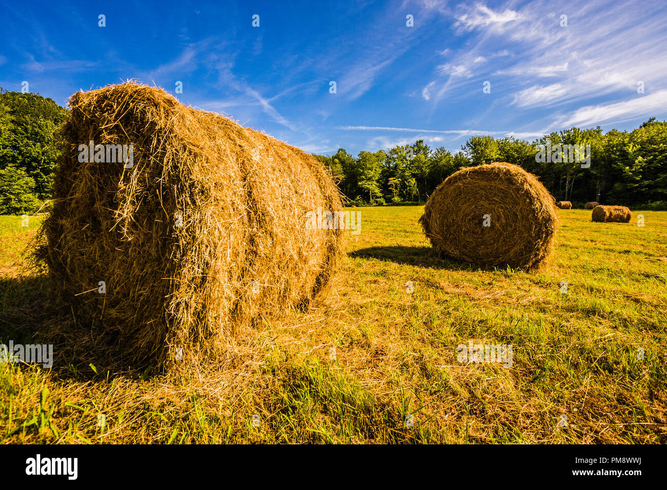 Hay Field Terryville, Connecticut, USA Stock Photo - Alamy