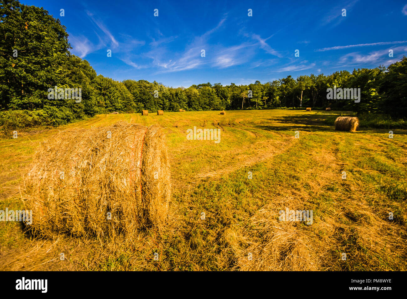 Hay Field Terryville, Connecticut, USA Stock Photo - Alamy