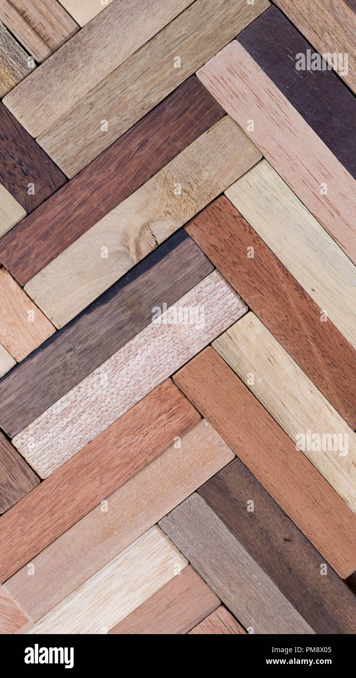 wood specimen from different tropical hardwood that grow in Indonesia ...