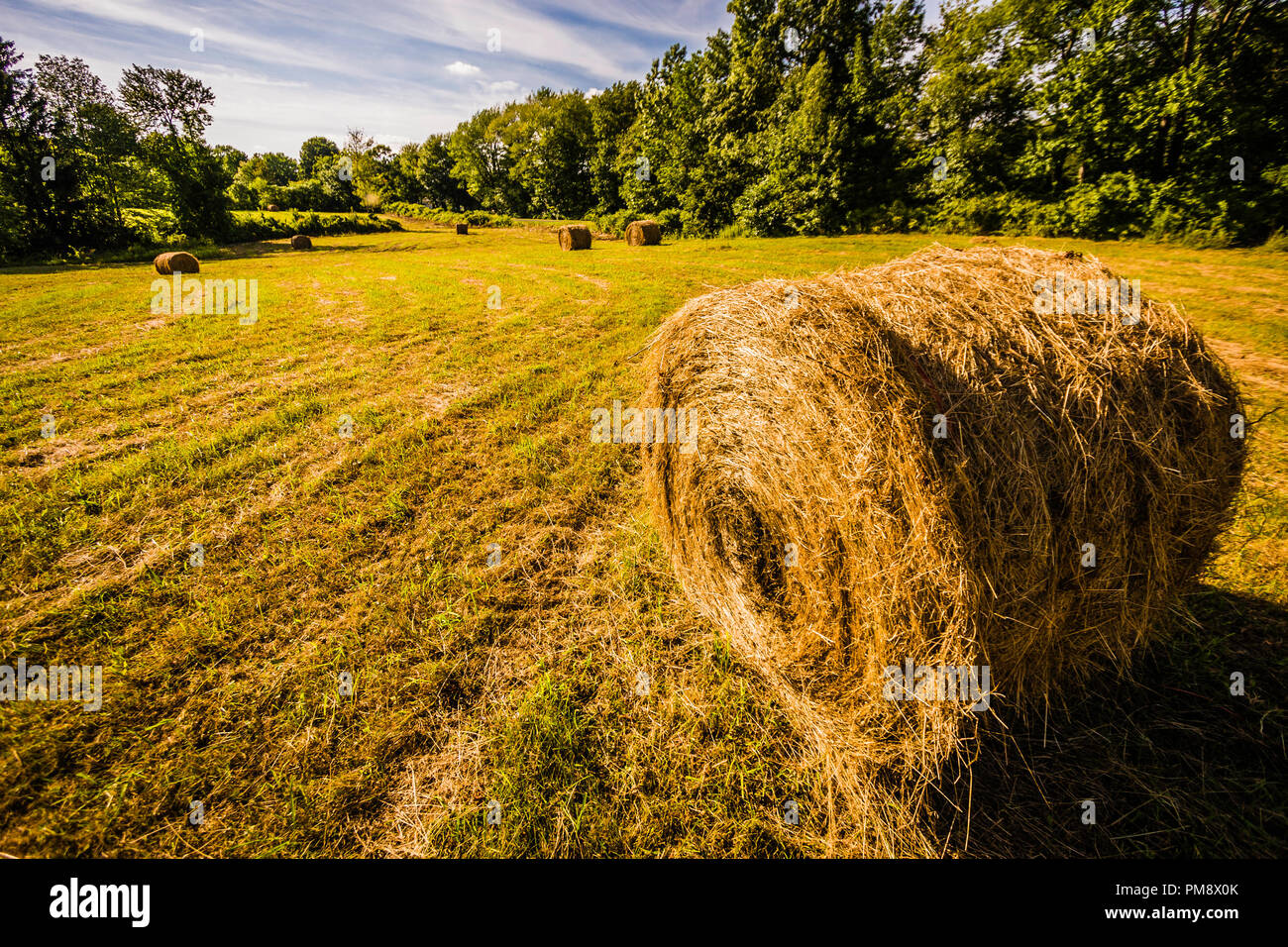 Terryville hi-res stock photography and images - Alamy