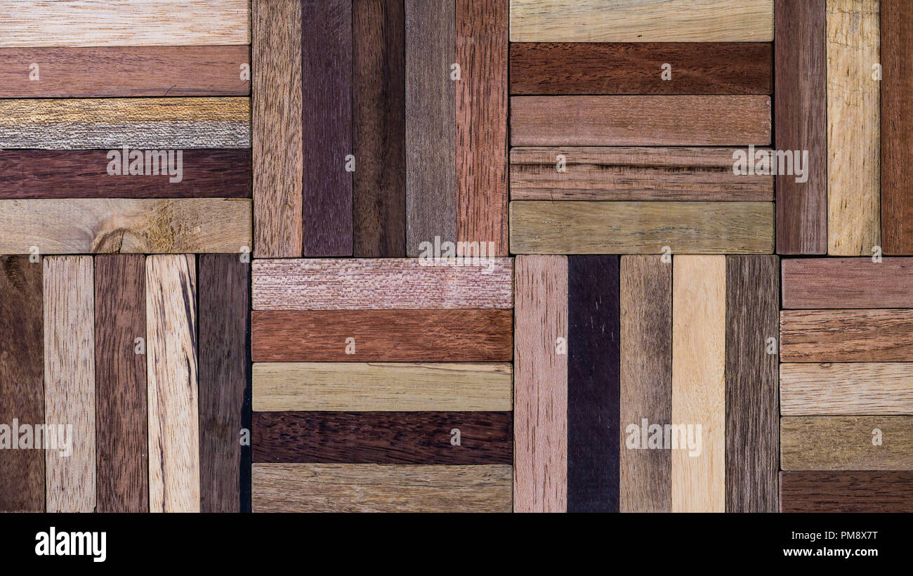 wood specimen from different tropical hardwood that grow in Indonesia ...