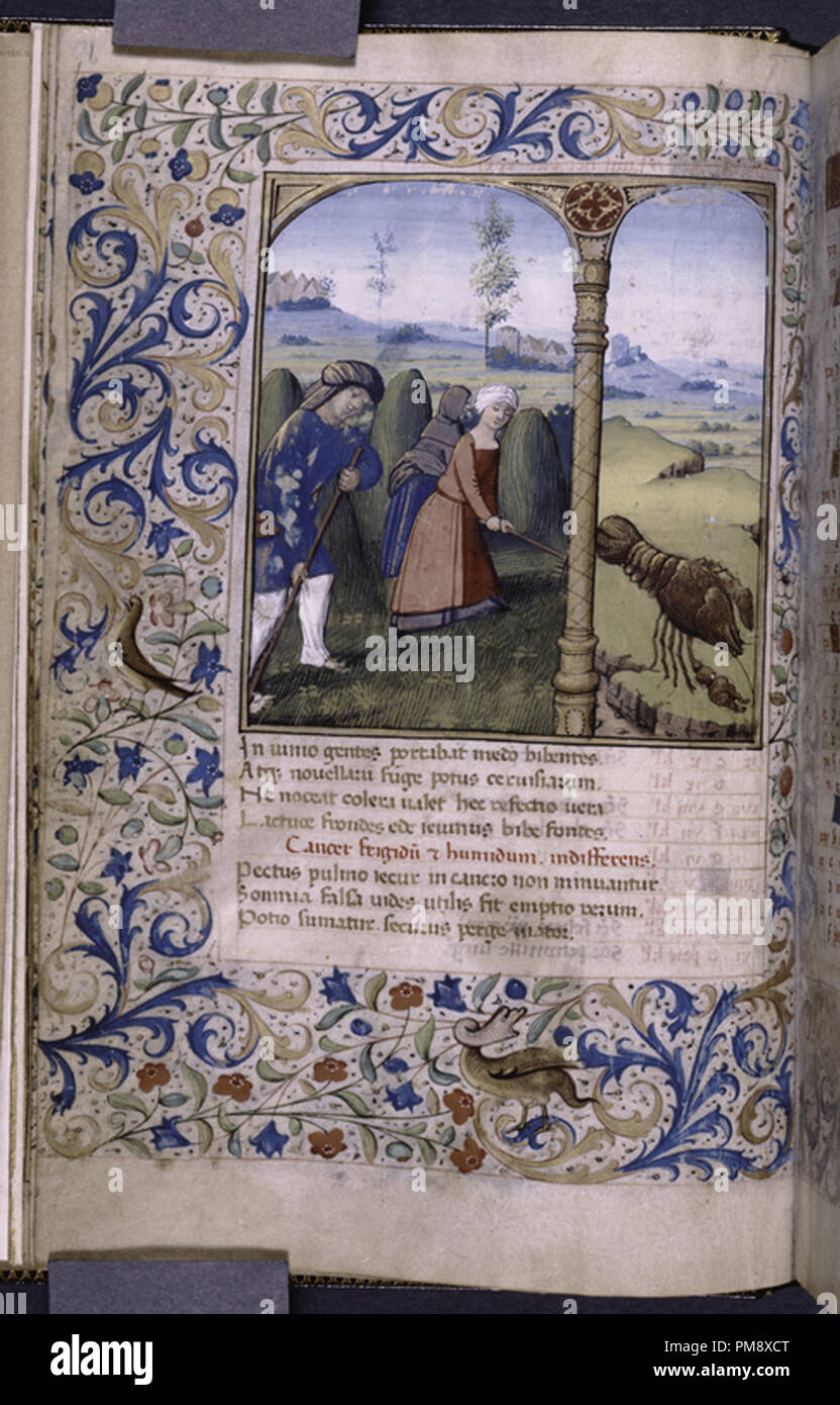 Medieval Manuscript Border High Resolution Stock Photography and Images ...