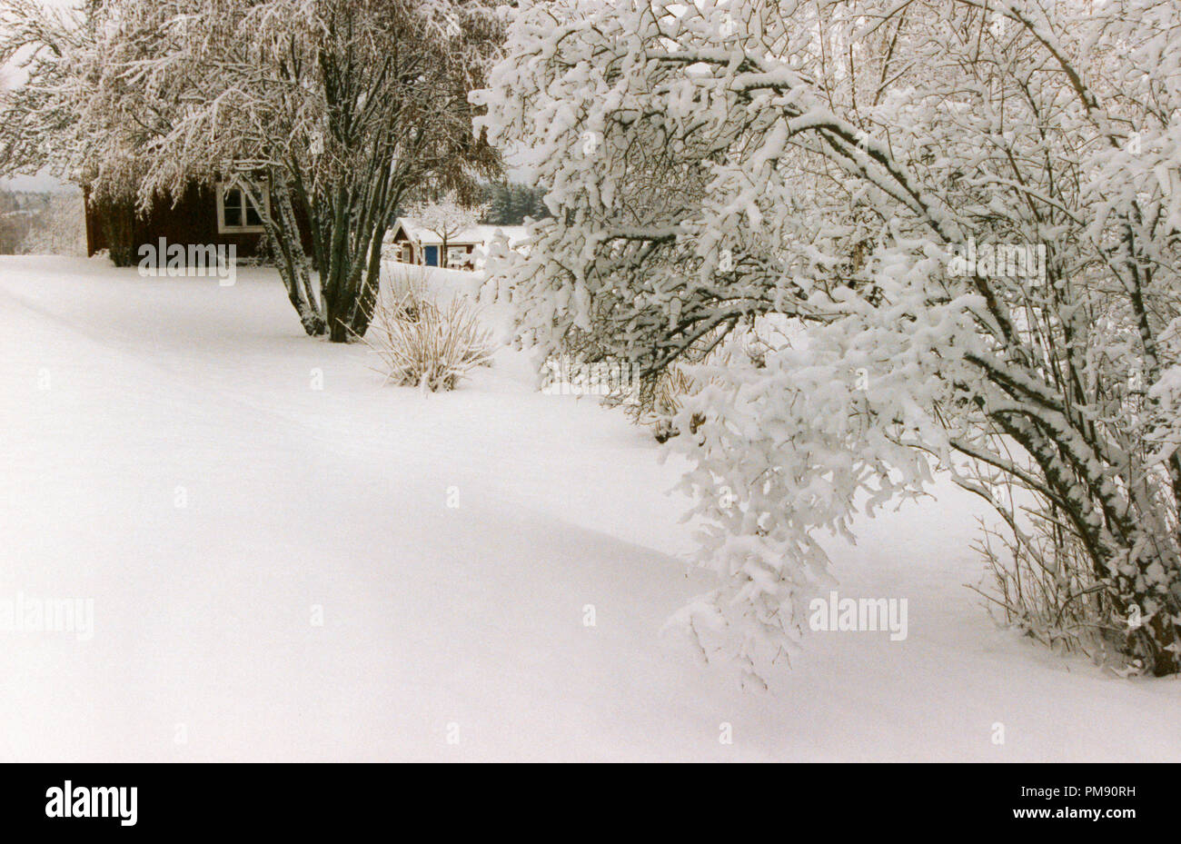 2009 winter hi-res stock photography and images - Alamy