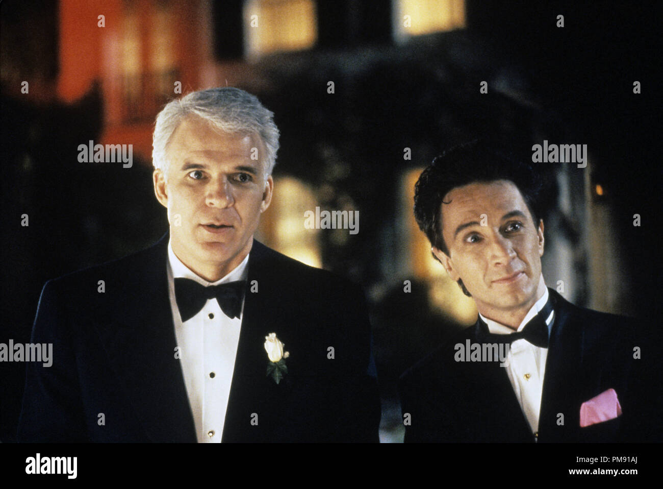 Film still or Publicity still from "Father of the Bride" Steve Martin ...