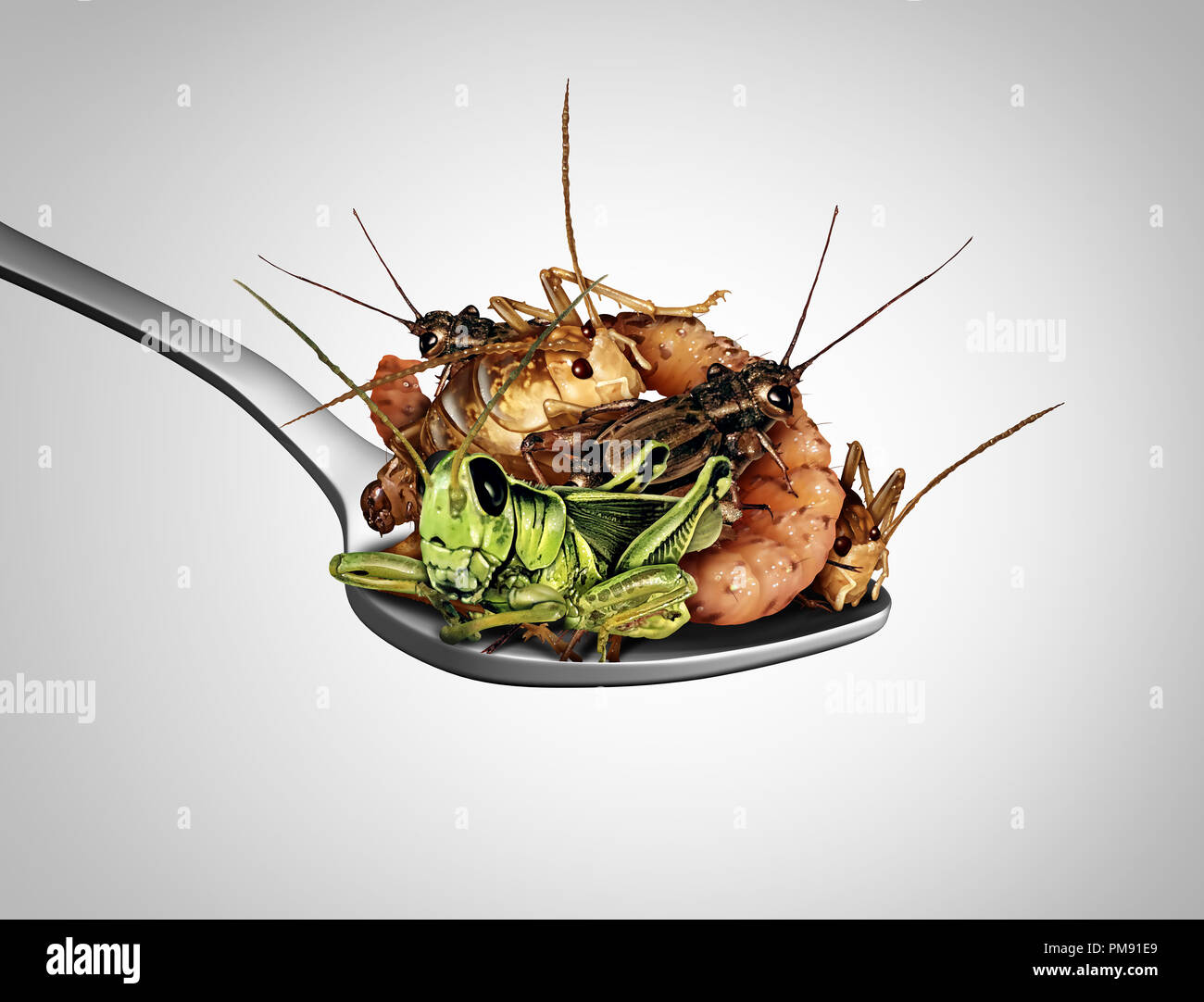 Eating insects as food hi-res stock photography and images - Alamy