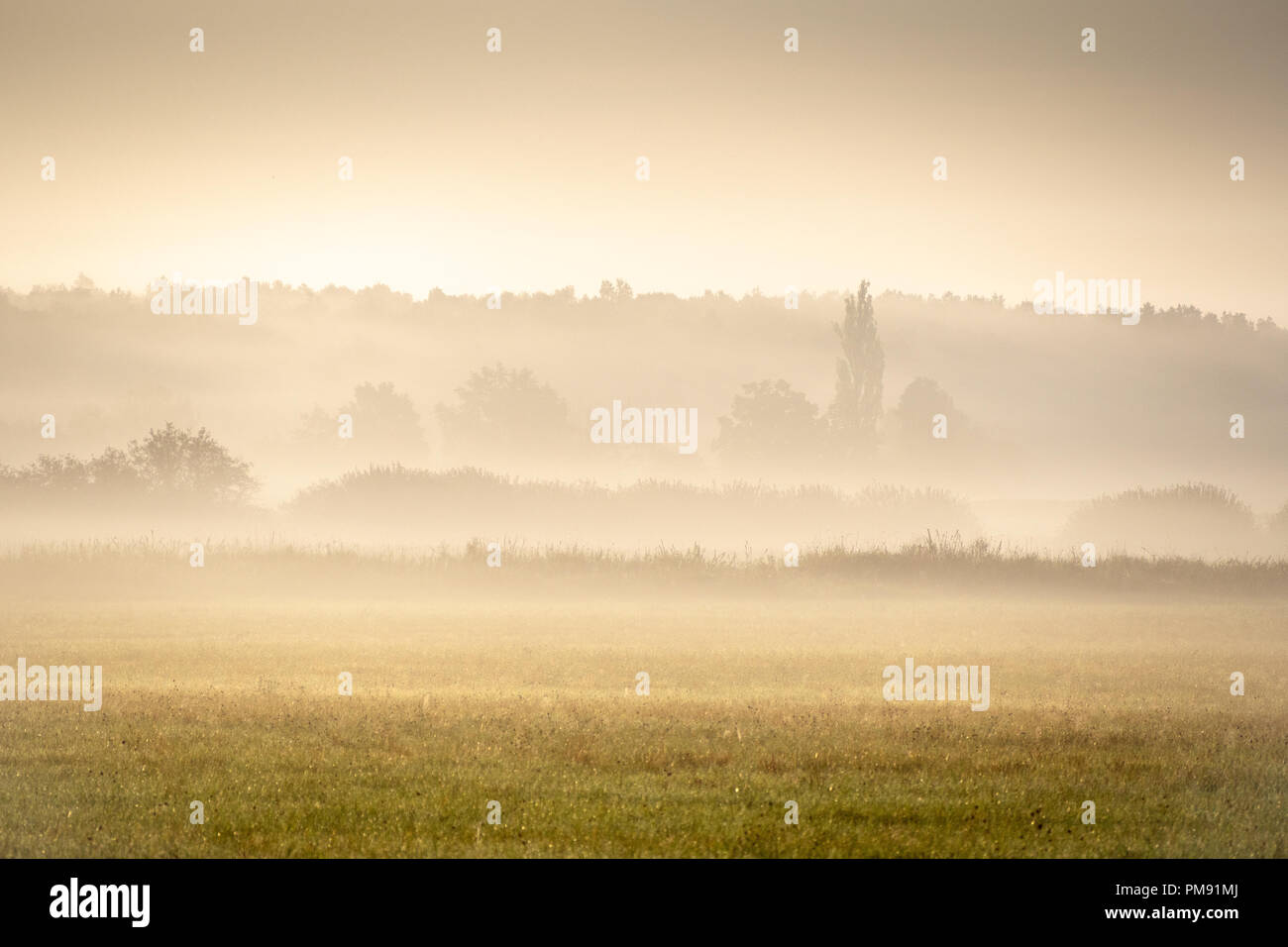 Fog in the landscape. Morning haze by the sunrise Stock Photo - Alamy