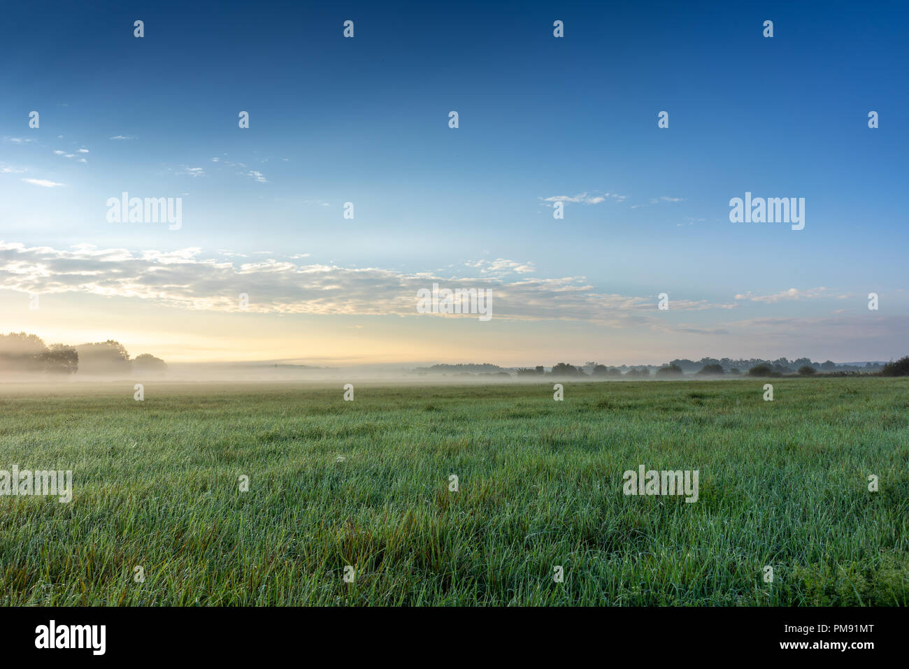 Morning haze nature hi-res stock photography and images - Alamy