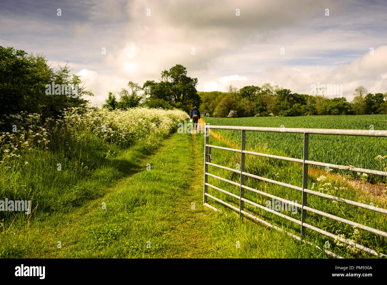 Countyside footpath uk hi-res stock photography and images - Alamy