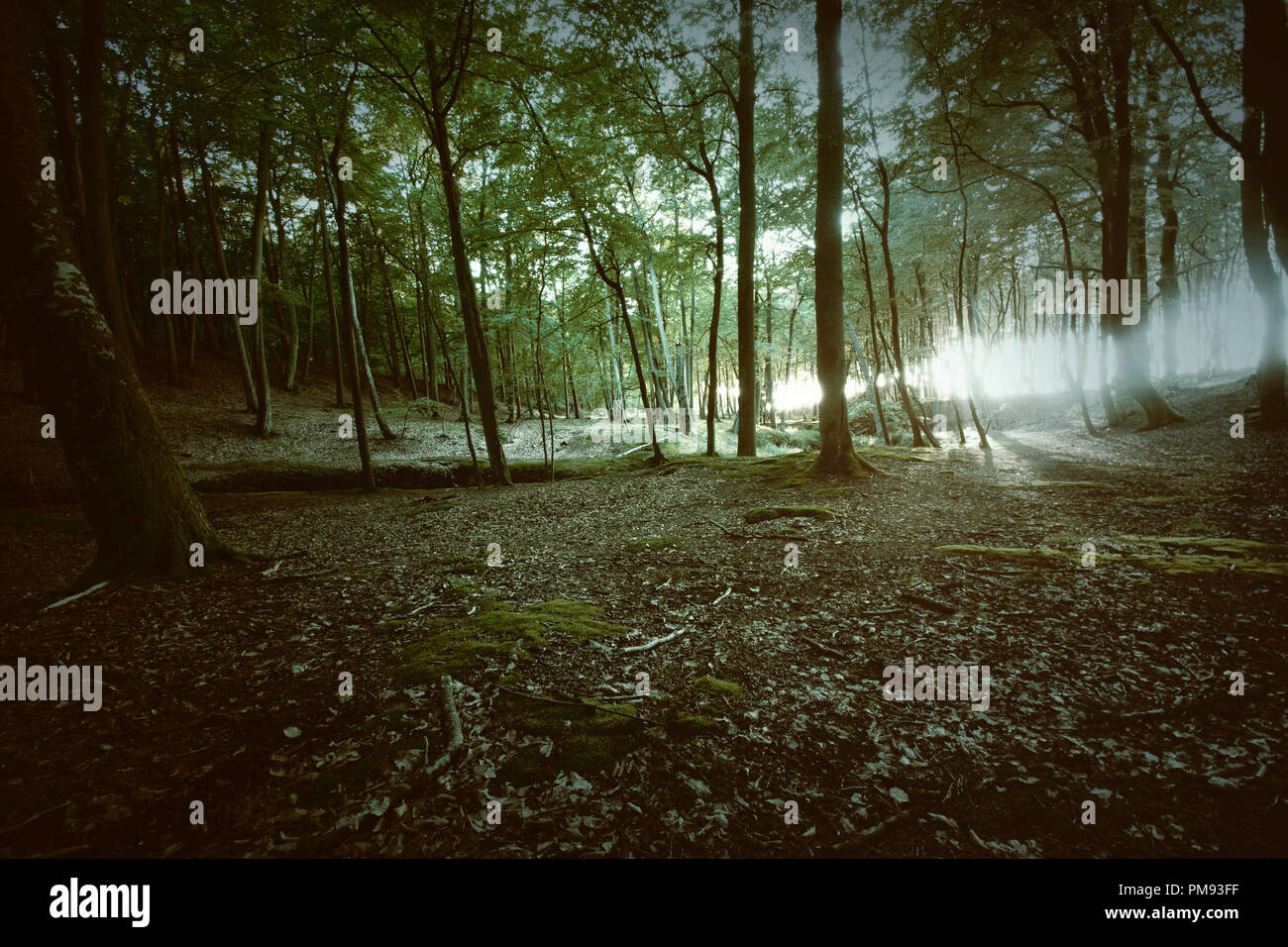 Dark magical hi-res stock photography and images - Alamy