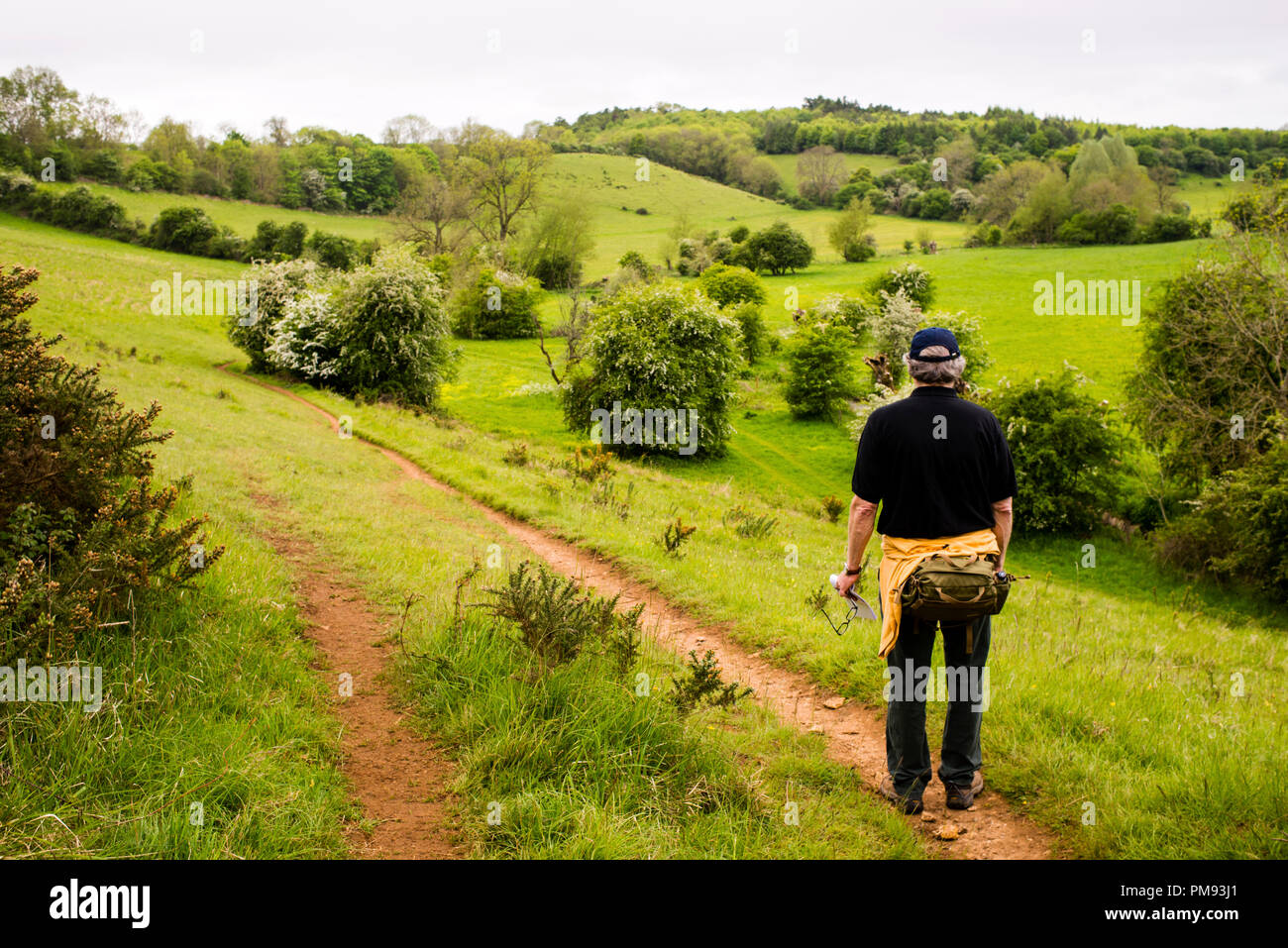 The Cotswolds Way trail in England Stock Photo - Alamy