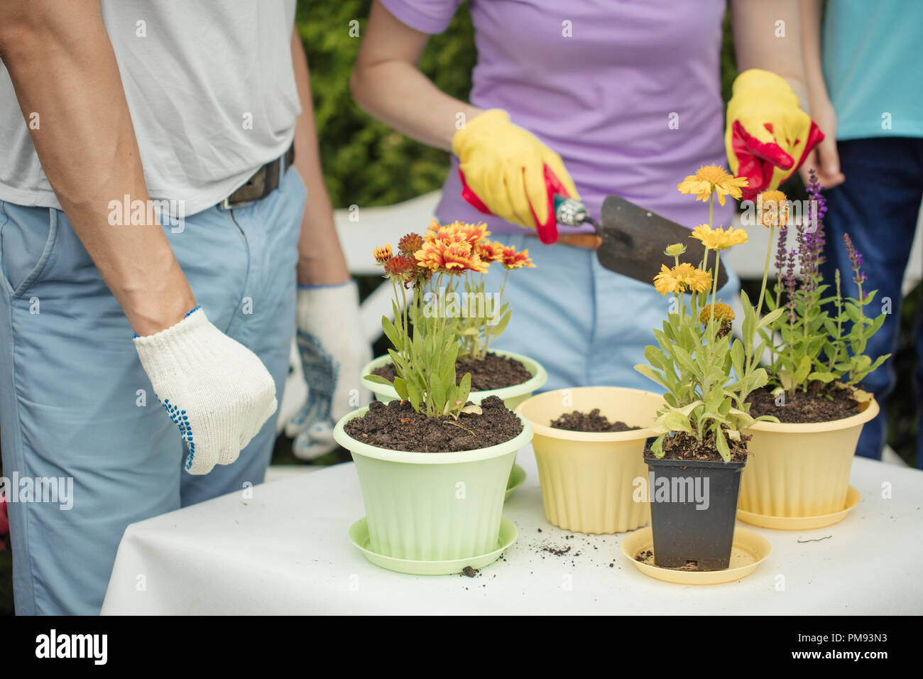 Family gardeners with kid planting flowers in pots with soil in farm ...