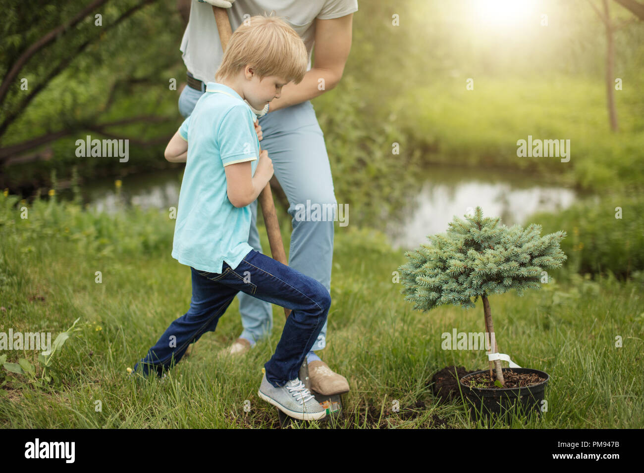 Smiling adult father and his son planting a tree outdoors in park Stock ...