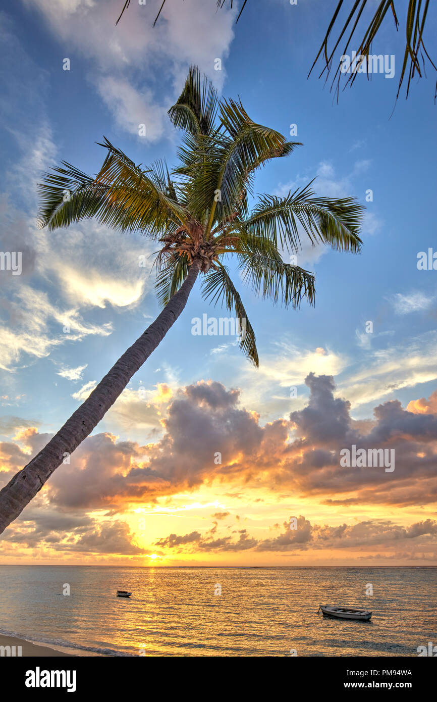 Mauritius and beach and sunset hi-res stock photography and images - Alamy