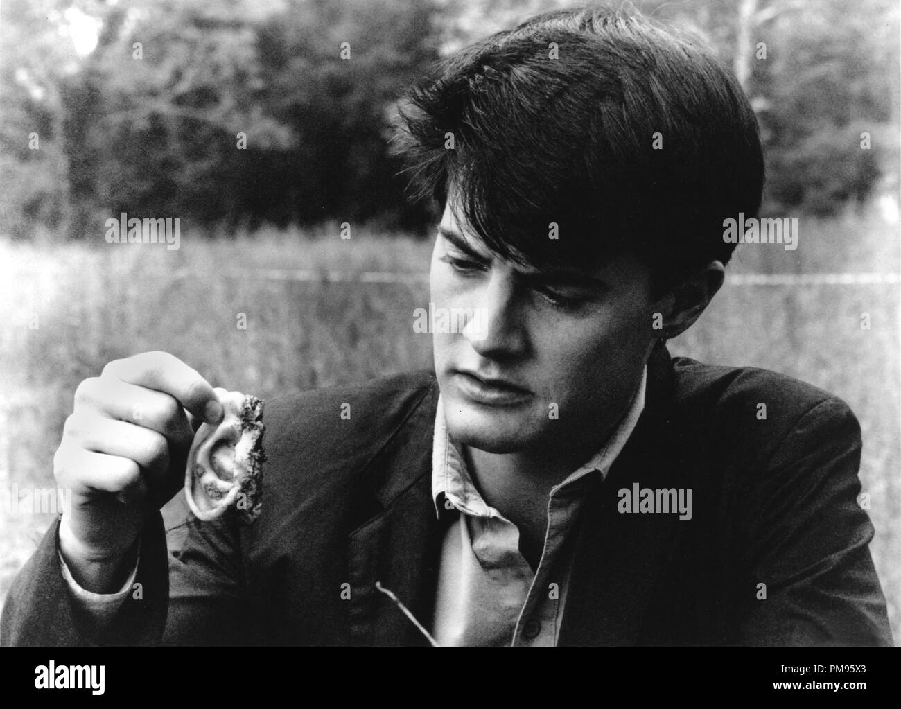 Studio Publicity Still from "Blue Velvet" Kyle MacLachlan © 1986 De ...