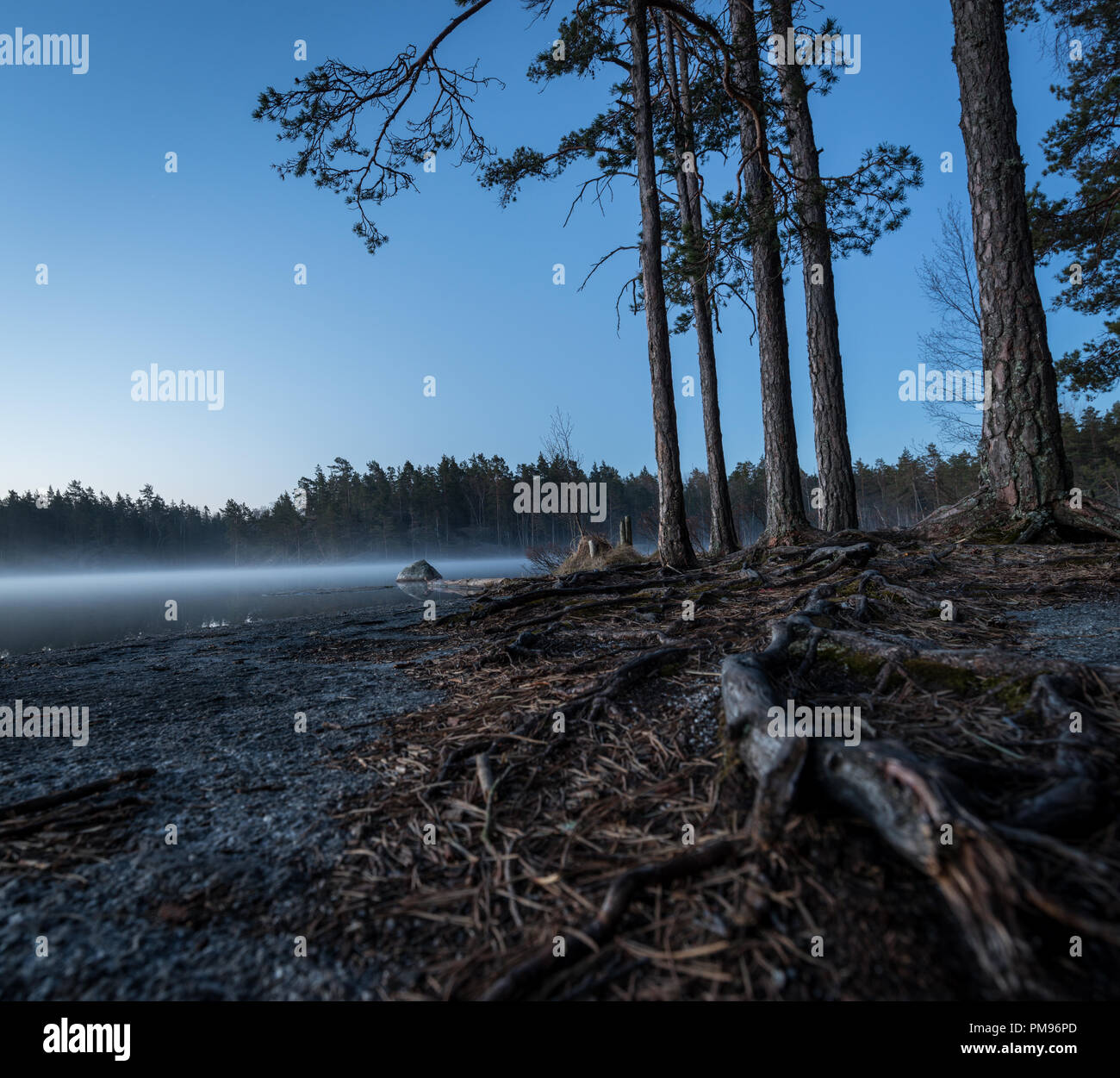 Calm lake with fog during sunrise Stock Photo - Alamy