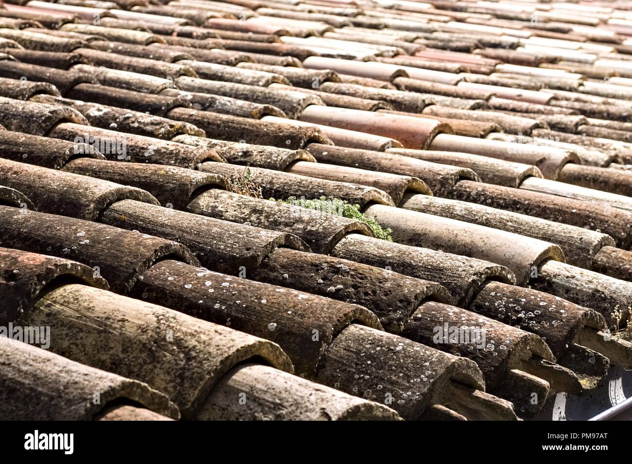Italian Roof Tiles Stock Photos & Italian Roof Tiles Stock Images - Alamy