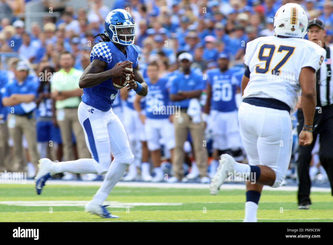 Terry wilson hi-res stock photography and images - Alamy