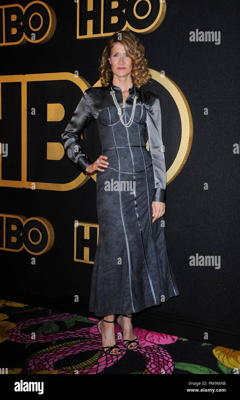 Laura elizabeth dern hi-res stock photography and images - Alamy