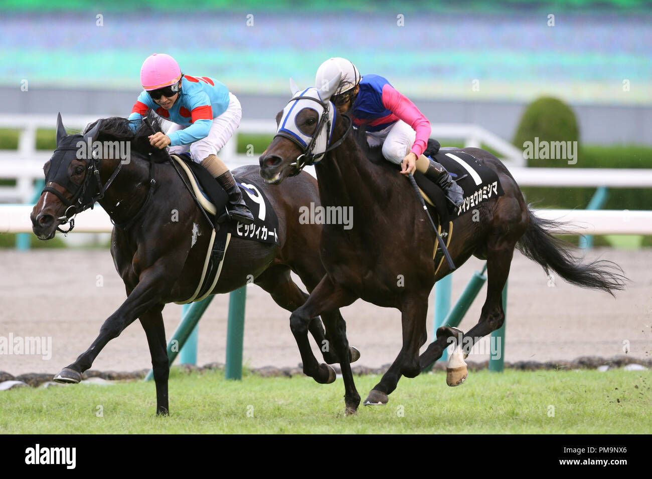 Hyogo, Japan. 17th Sep, 2018. (L-R) Pizzicato (Fuma Matsuwaka), Meisho ...