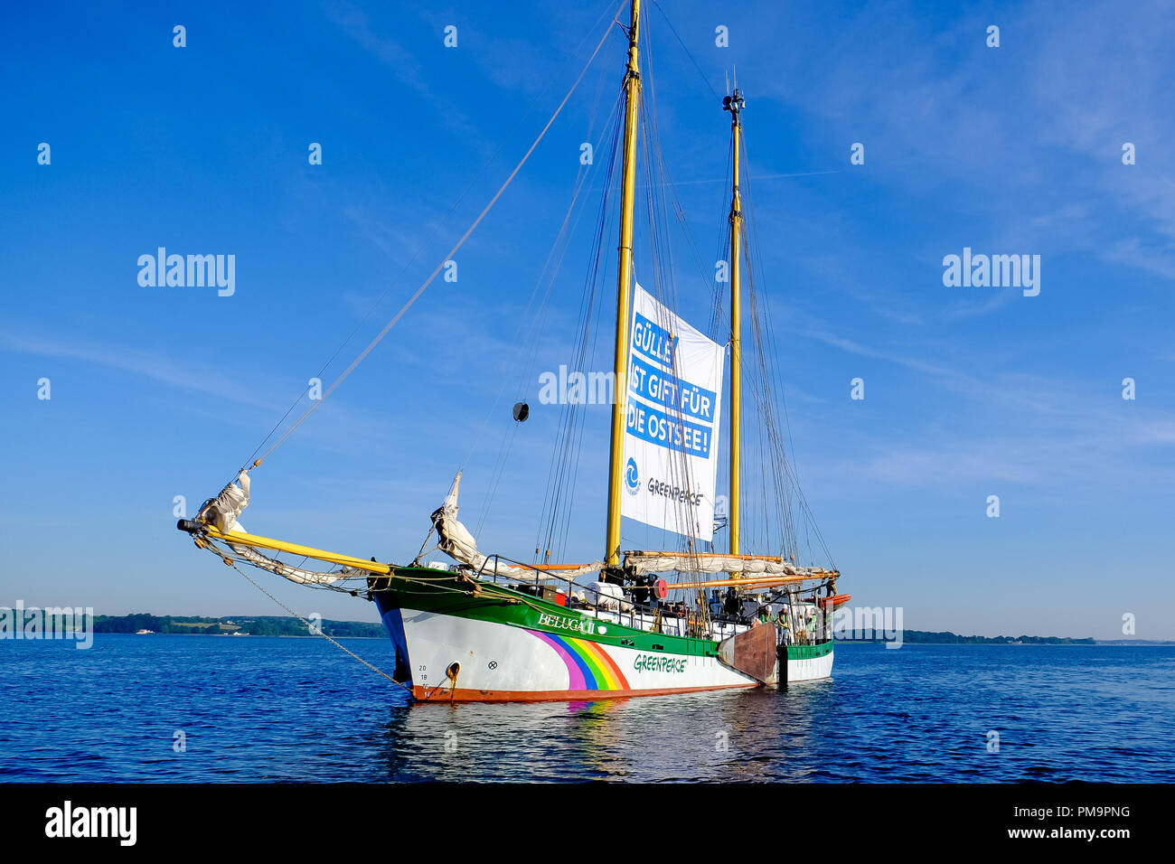 Beluga ii hi-res stock photography and images - Alamy