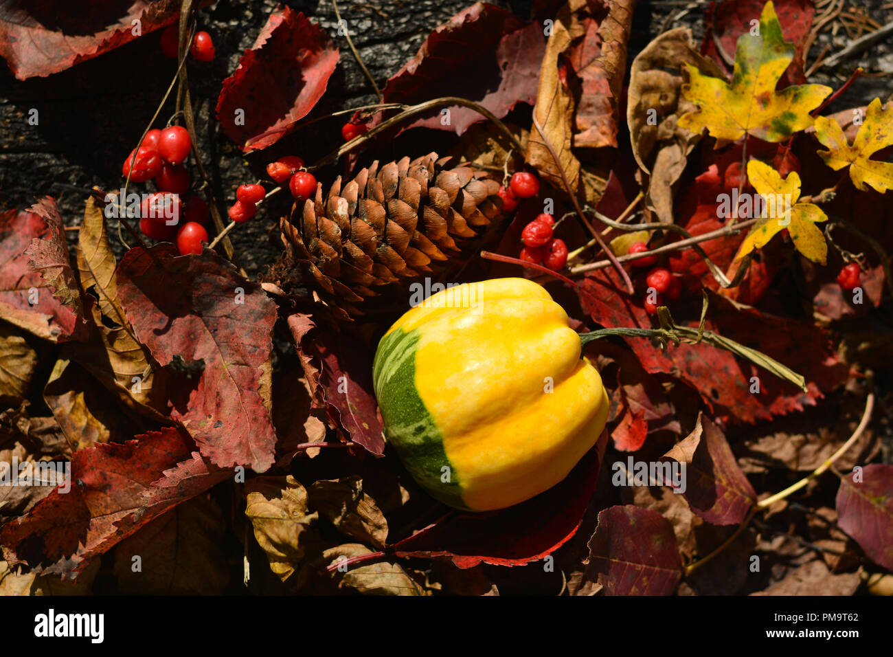 Puerto de guayaquil hi-res stock photography and images - Alamy