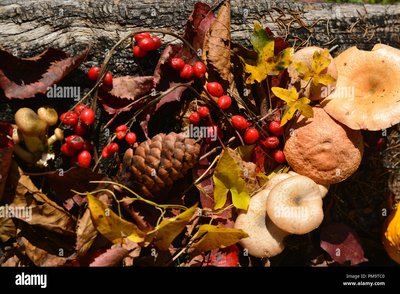Puerto de guayaquil hi-res stock photography and images - Alamy