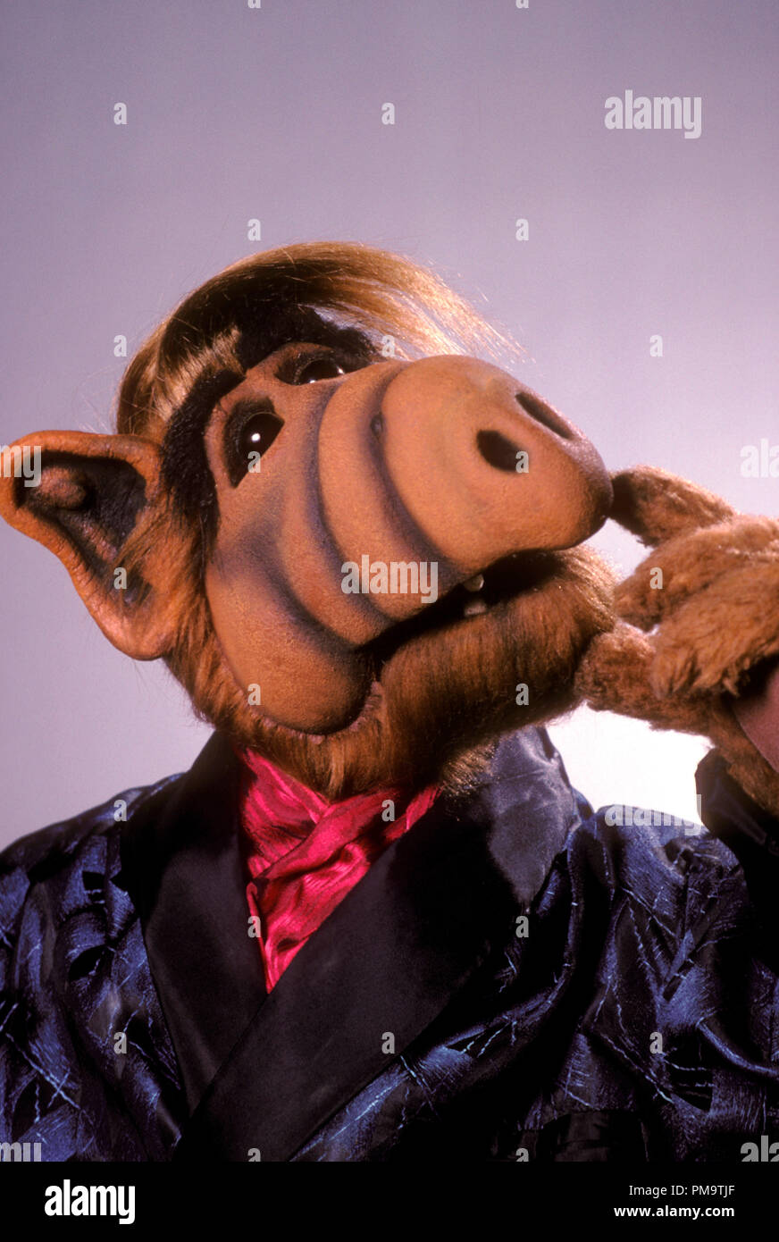 1980s 1980s alf hi-res stock photography and images - Alamy