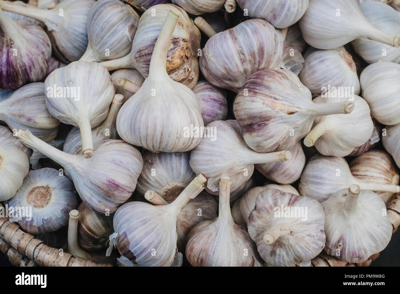 White garlic pile texture. Fresh garlic on market table closeup photo ...