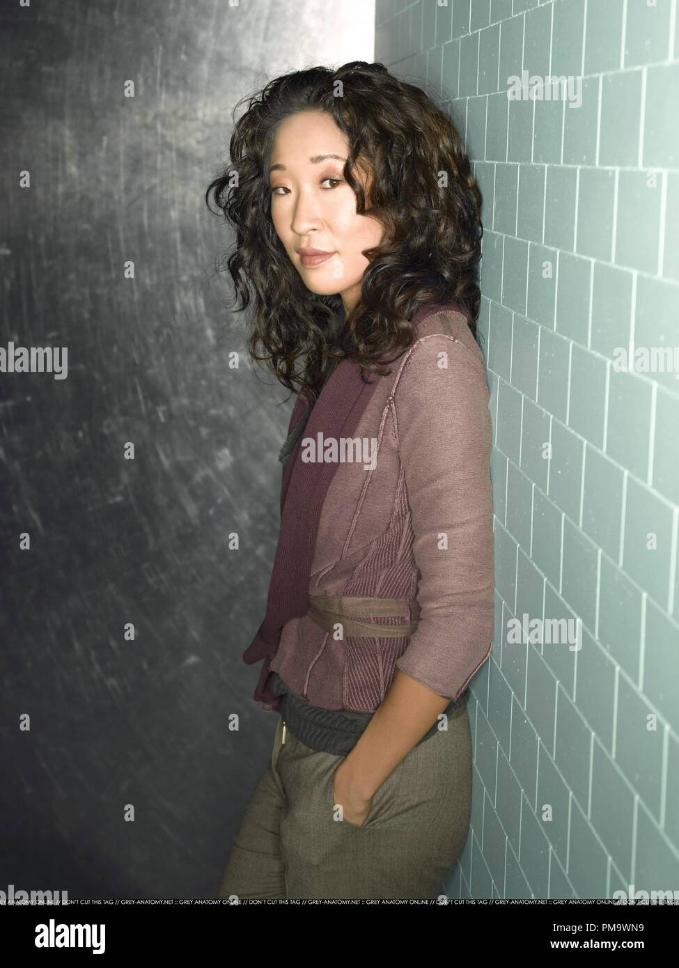 Cristina Yang Grey's Anatomy Notebook: Cristina Yang: Naidoo, Denata: