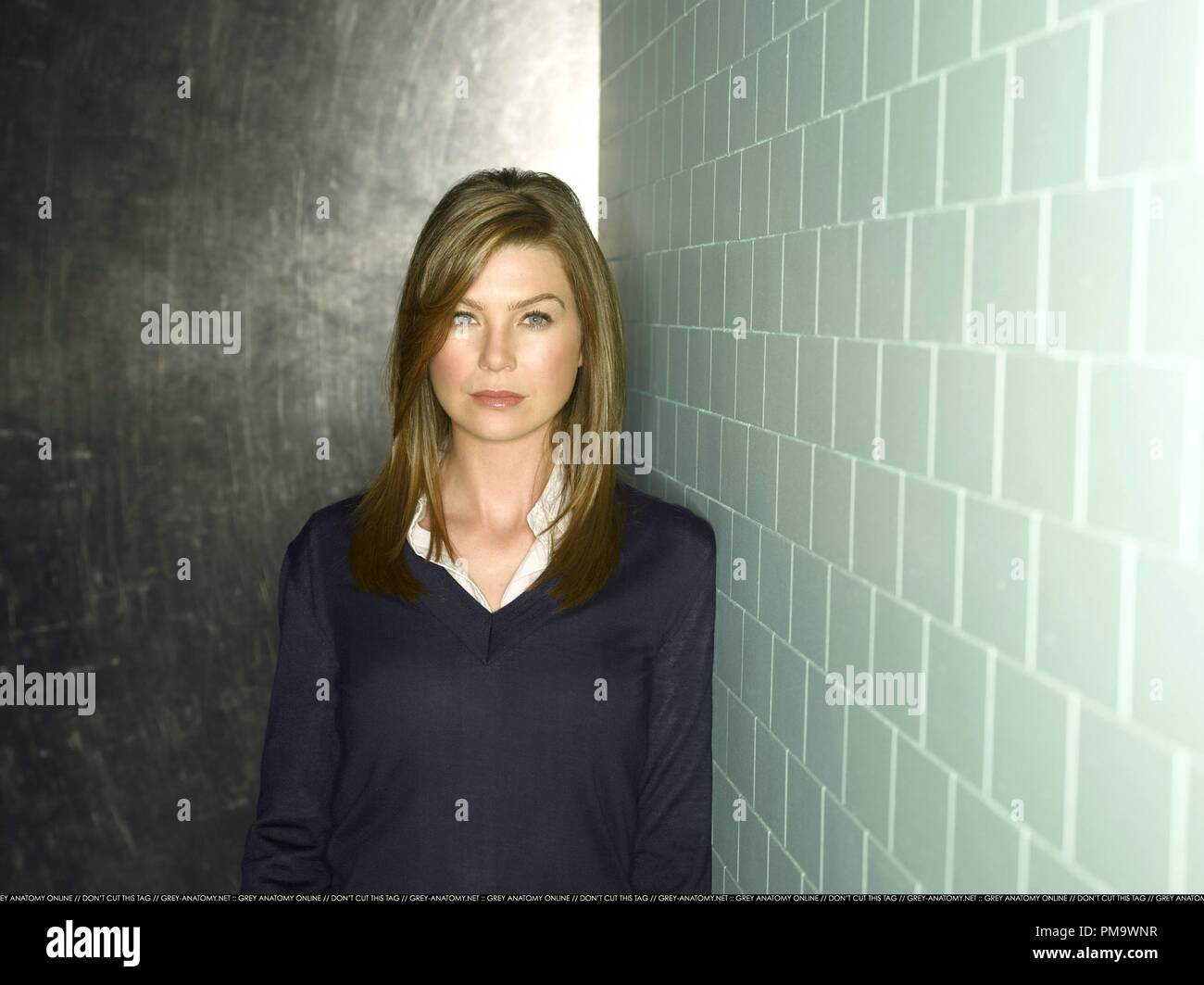 GREY'S ANATOMY - ABC's "Grey's Anatomy" stars Ellen Pompeo as Meredith ...