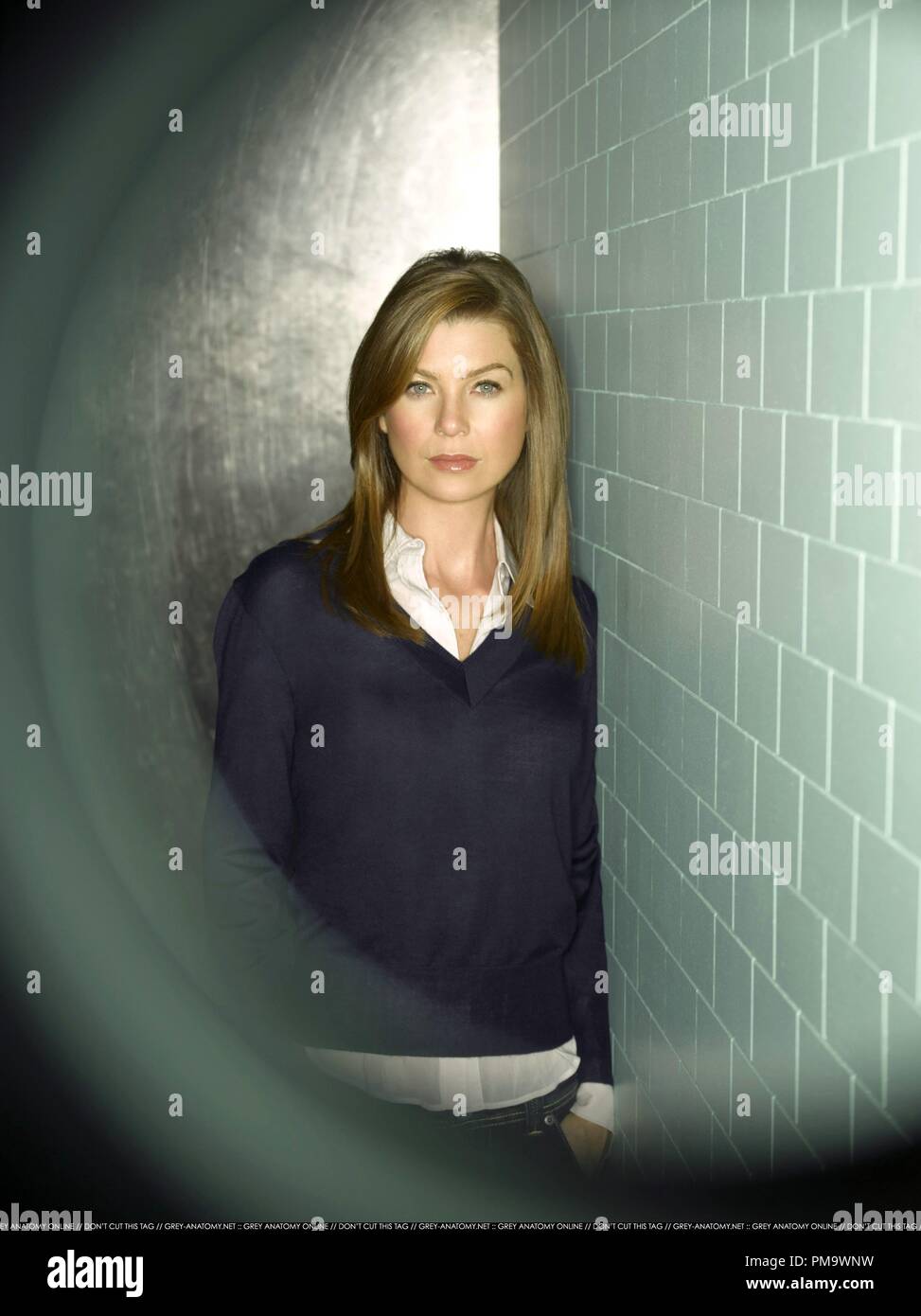 GREY'S ANATOMY - ABC's "Grey's Anatomy" stars Ellen Pompeo as Meredith ...