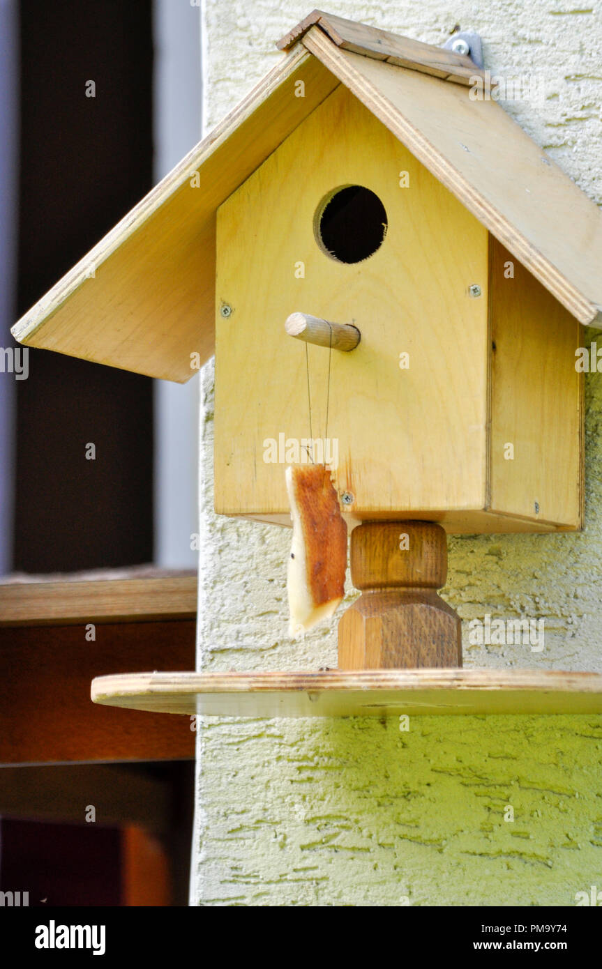 Lard bird hi-res stock photography and images - Alamy