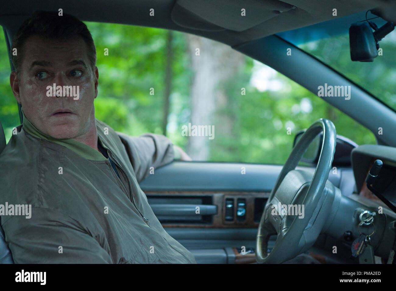 Ray Liotta stars as Deluca in Derek Cianfrance's sweeping emotional ...