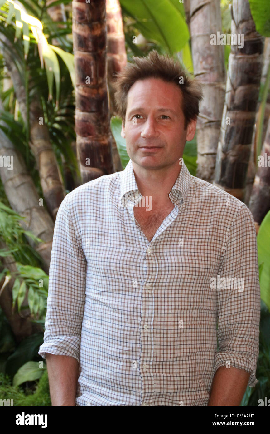David Duchovny "Phantom" Portrait Session, February 26, 2013 ...