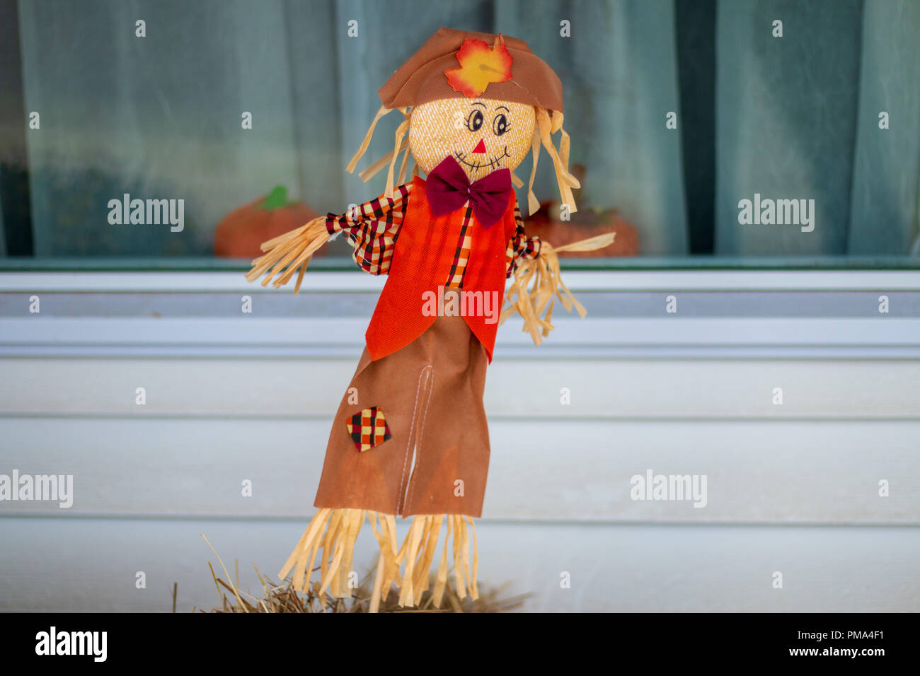 this scare crow is a straw man and perfect decoration Stock Photo - Alamy