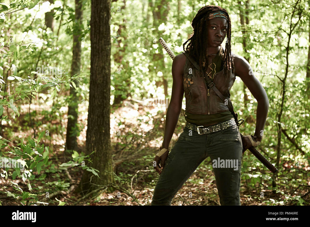 The Walking Dead Comic Wallpaper Michonne