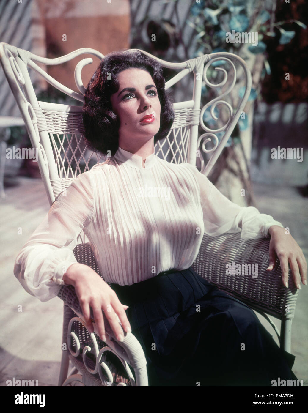 Elizabeth Taylor, "Suddenly, Last Summer", 1959 Columbia Pictures File ...