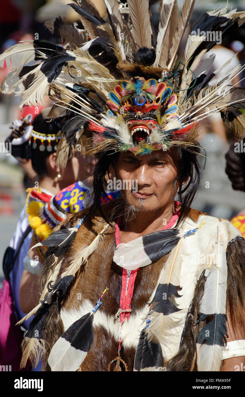 Iban warriors at the Gawai parade with traditional headdress, feathers ...
