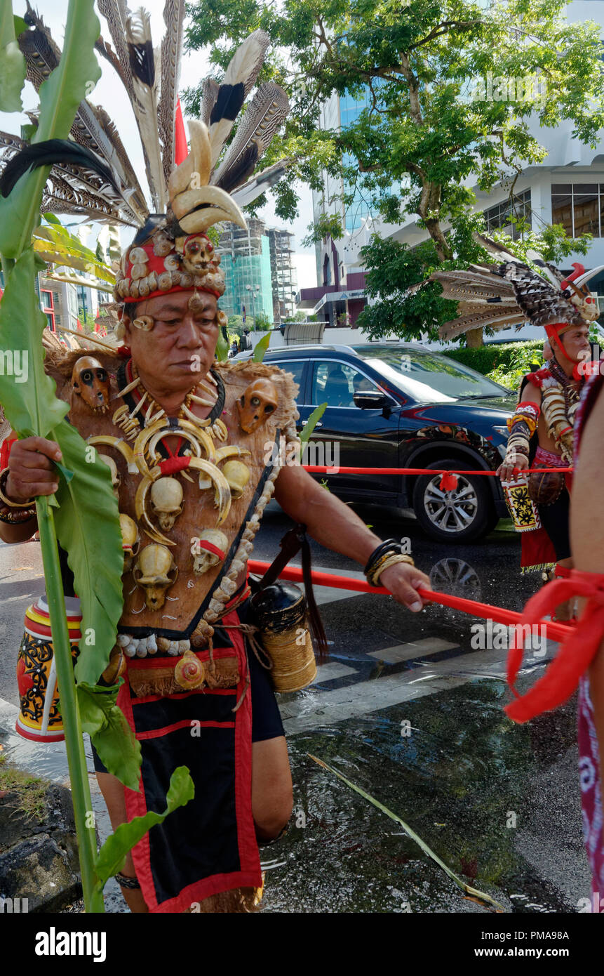 Iban warriors at the Gawai parade with traditional headdress, feathers ...