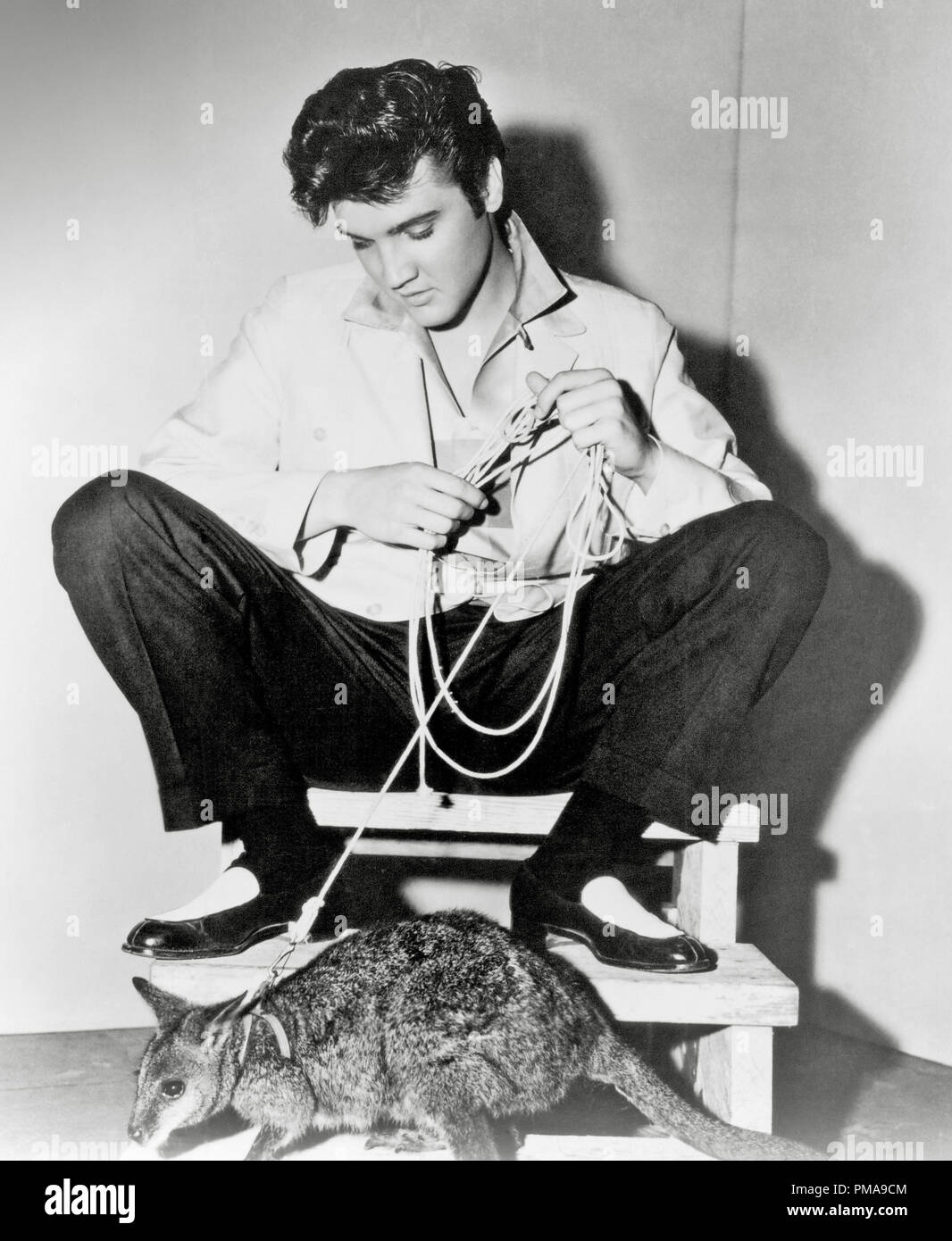 Elvis Presley, circa 1957 File Reference # 31955 956THA Stock Photo - Alamy