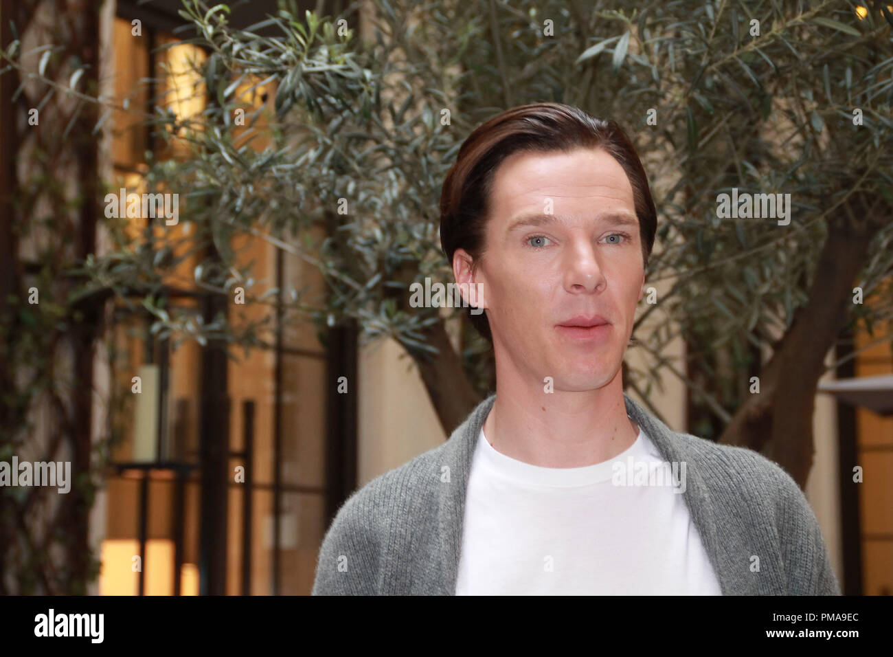 Benedict cumberbatch 2013 hi-res stock photography and images - Alamy