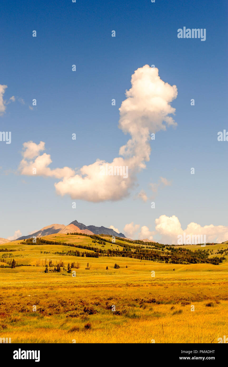 Clouds often create interesting shapes. I see a dinosaur - what do you ...