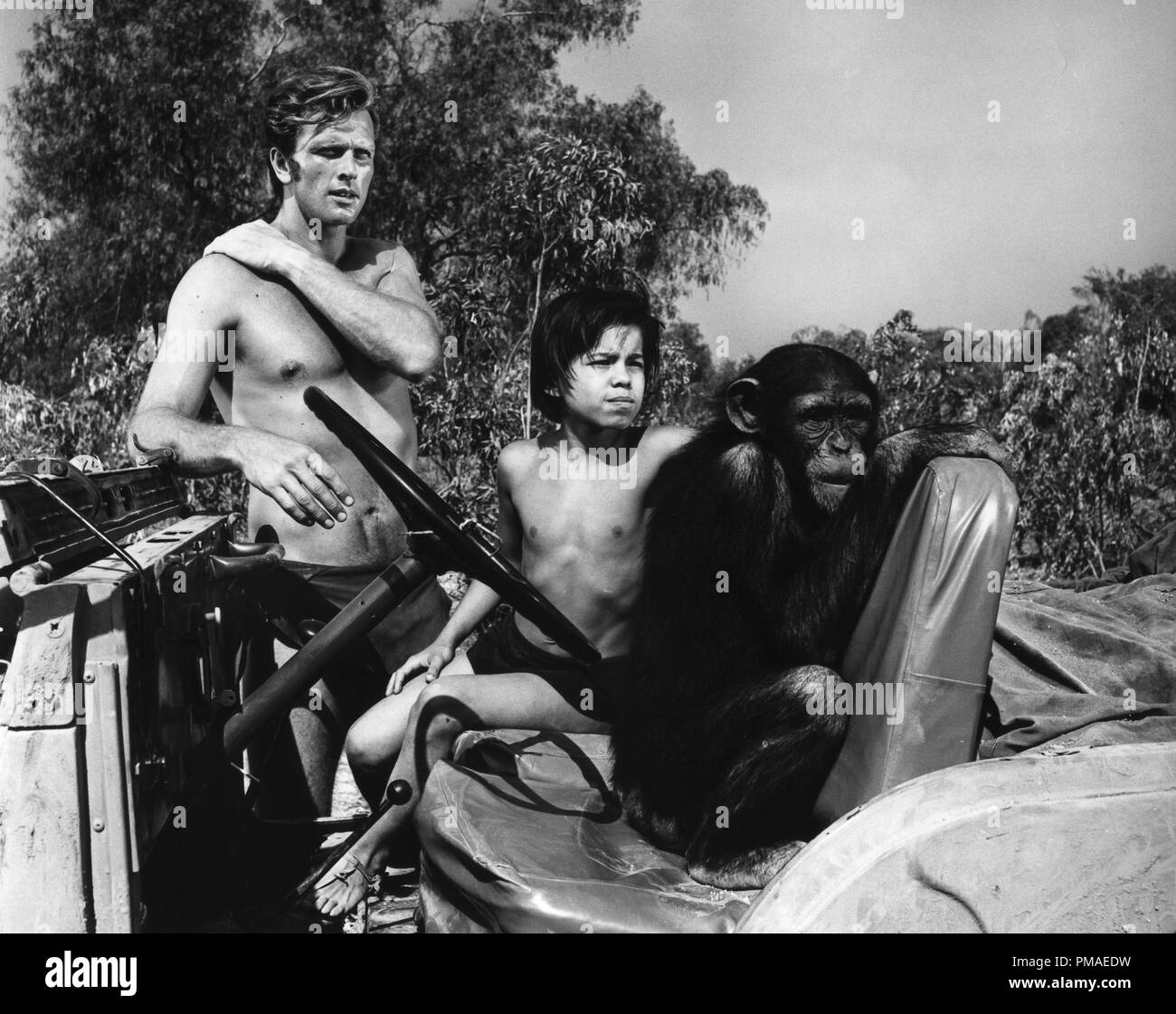 Tarzan 1966 Tarzan | Television Heaven