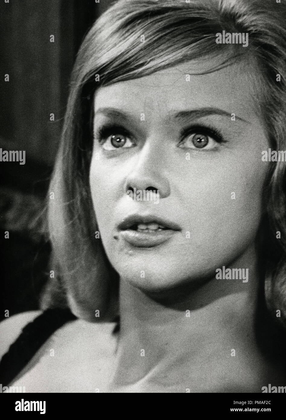 Anne Francis, circa 1963 © JRC /The Hollywood Archive - All Rights ...